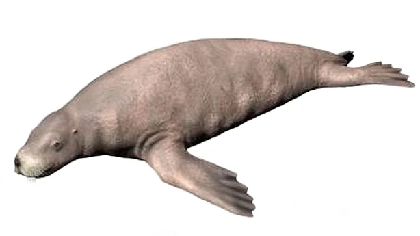 Dusignathus | Prehistoria Fandom | Fandom