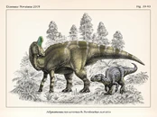Adynomosaurus | Prehistoria Fandom | Fandom