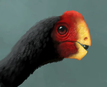 Banji | Prehistoria Fandom | Fandom