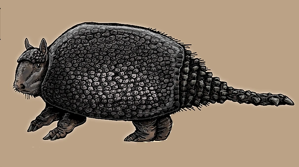 Hoplophorus | Prehistoria Fandom | Fandom