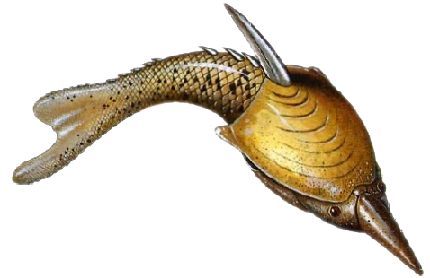 Pteraspis | Prehistoria Fandom | Fandom