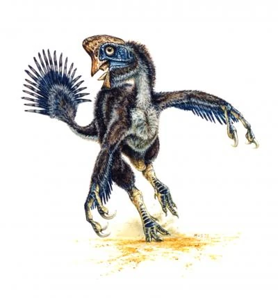 Hagryphus | Prehistoria Fandom | Fandom