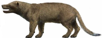 Megistotherium | Prehistoria Fandom | Fandom