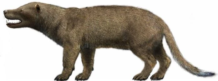 Megistotherium | Prehistoria Fandom | Fandom