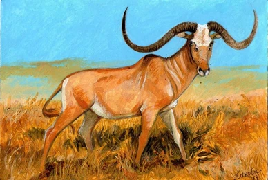 Megalotragus | Prehistoria Fandom | Fandom