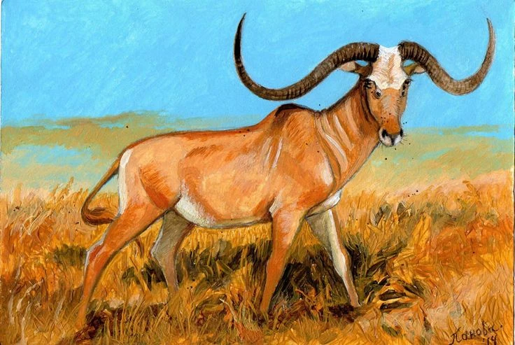 Megalotragus | Prehistoria Fandom | Fandom