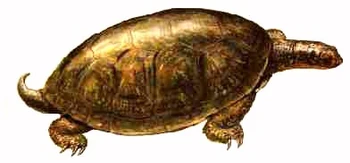 Stupendemys | Prehistoria Fandom | Fandom