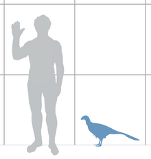 Yixianosaurus | Prehistoria Fandom | Fandom