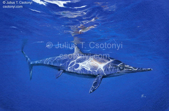 Ichthyosaurus | Prehistoria Fandom | Fandom