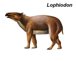 Lophiodon | Prehistoria Fandom | Fandom