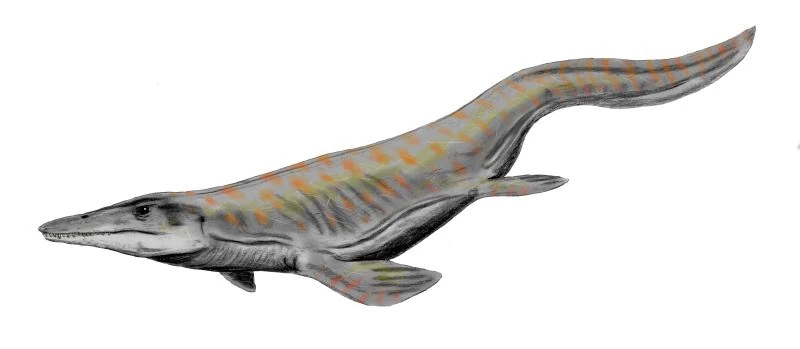Tylosaurus | Prehistoria Fandom | Fandom