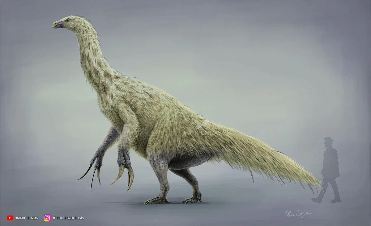 Categoría:Therizinosauridae | Prehistoria Fandom | Fandom