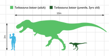 Tarbosaurus | Prehistoria Fandom | Fandom