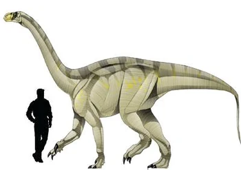 Euskelosaurus | Prehistoria Fandom | Fandom