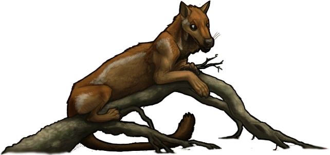 Sinopa | Prehistoria Fandom | Fandom