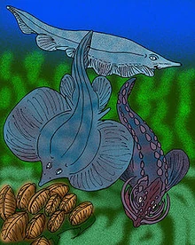 Janassa | Prehistoria Fandom | Fandom