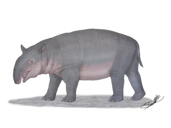 Baguatherium | Prehistoria Fandom | Fandom