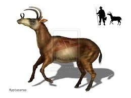 Kryptoceras | Prehistoria Fandom | Fandom