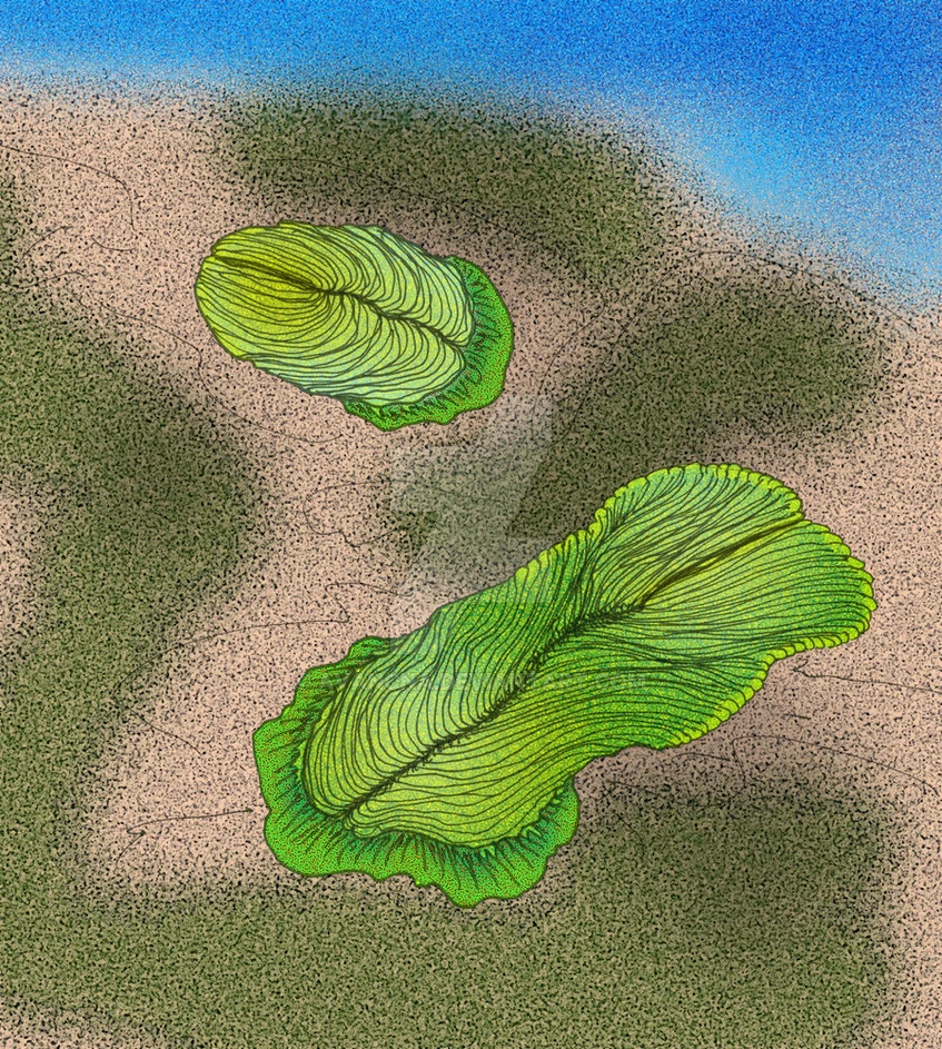 Andiva | Prehistoria Fandom | Fandom