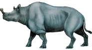 Megacerops | Prehistoria Fandom | Fandom