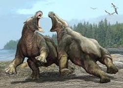 Desmostylus | Prehistoria Fandom | Fandom