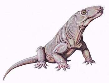 Archaeosyodon | Prehistoria Fandom | Fandom