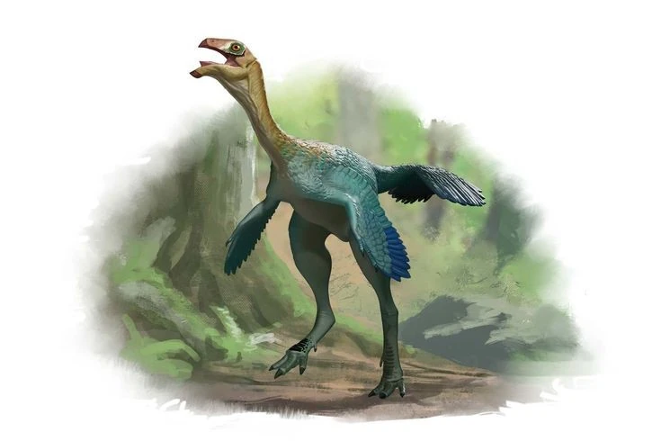 Categoría:Formación Yixian | Prehistoria Fandom | Fandom