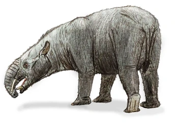 Comahuetherium | Prehistoria Fandom | Fandom