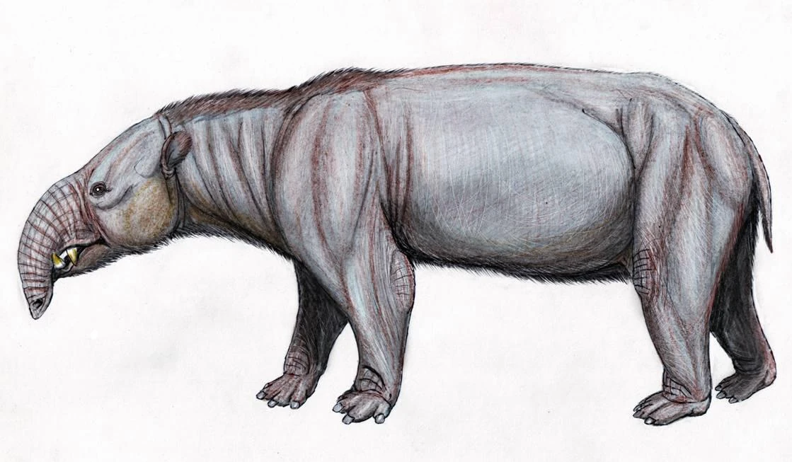 Astrapotherium | Prehistoria Fandom | Fandom