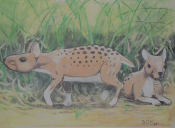 Paedotherium | Prehistoria Fandom | Fandom