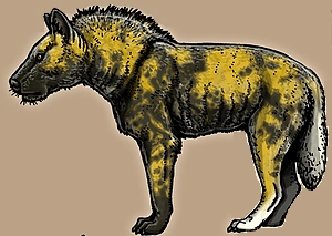 Protocyon troglodytes | Prehistoria Fandom | Fandom