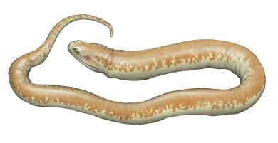 Lethiscus | Prehistoria Fandom | Fandom