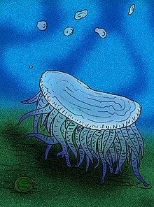 Gelenoptron | Prehistoria Fandom | Fandom