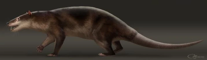 Didelphodon | Prehistoria Fandom | Fandom