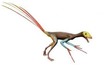 Epidexipteryx | Prehistoria Fandom | Fandom