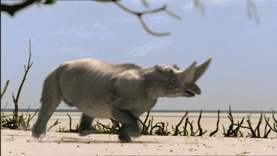 Priaboniano | Prehistoria Fandom | Fandom