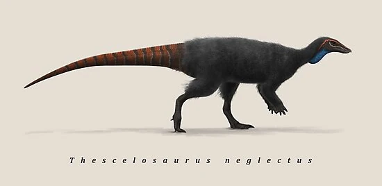 Thescelosaurus | Prehistoria Fandom | Fandom