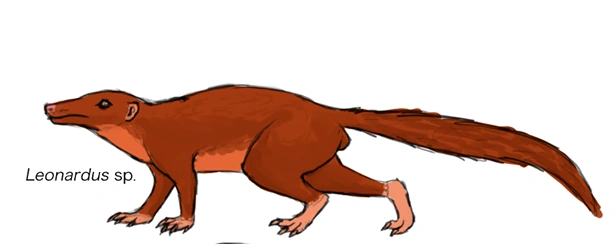 Leonardus | Prehistoria Fandom | Fandom