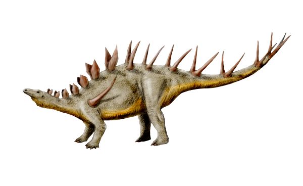 Kentrosaurus Prehistoria Fandom Fandom