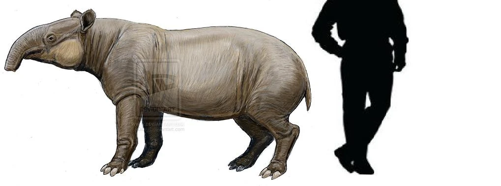 Megatapirus | Prehistoria Fandom | Fandom