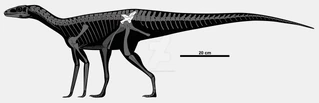 Ignotosaurus | Prehistoria Fandom | Fandom