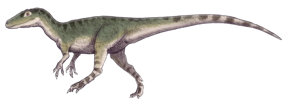 Magnosaurus | Prehistoria Fandom | Fandom
