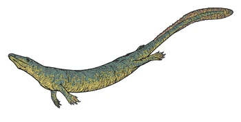 Dallasaurus | Prehistoria Fandom | Fandom