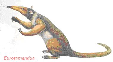 Eurotamandua | Prehistoria Fandom | Fandom