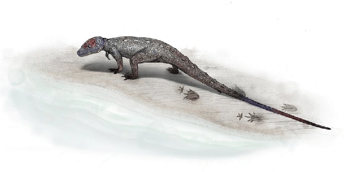 Монжурозух | Вымершие животные вики | Fandom