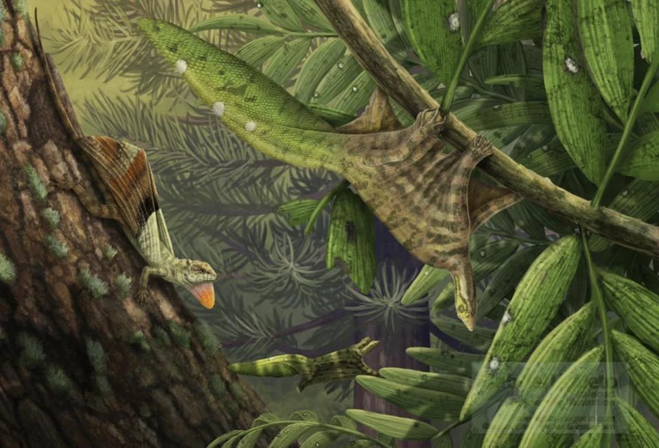 Гипюронектор | Вымершие животные вики | Fandom