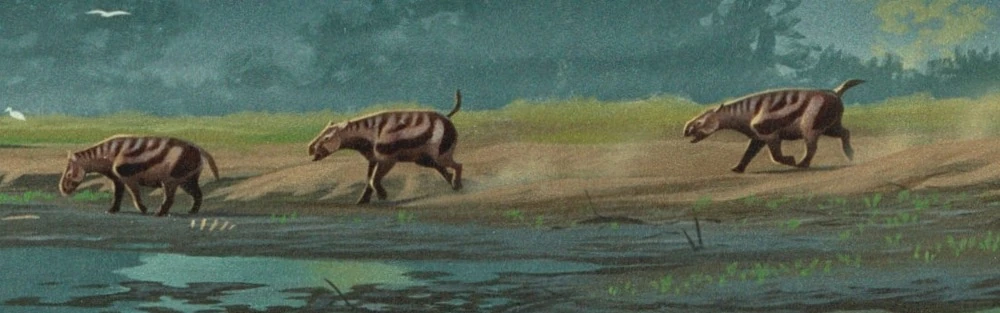 Телетацер | Вымершие животные вики | Fandom