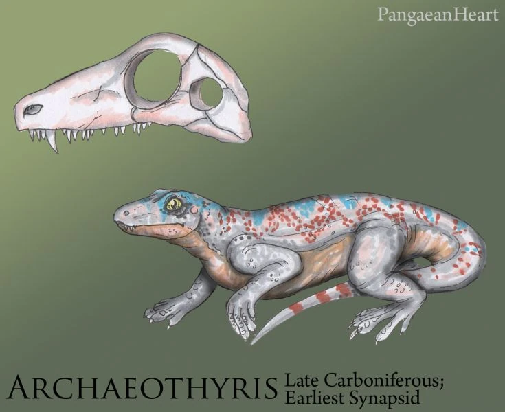 Археотир | Вымершие животные вики | Fandom