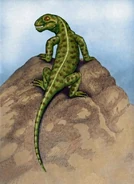 Галеп | Вымершие животные вики | Fandom