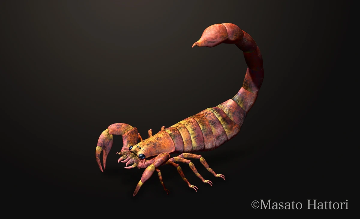 Долихофон | Вымершие животные вики | Fandom